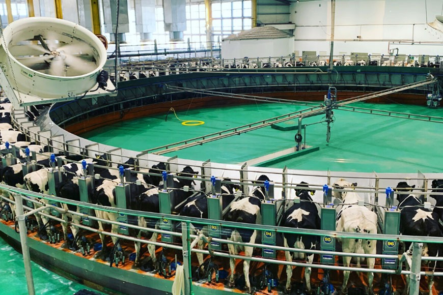 Family Fun For All at Baladna Farm and Park in Doha | ExpatWoman.com