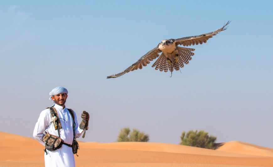 Is Hunting and Fishing Allowed in Saudi Arabia?: A Guide for Expats ...
