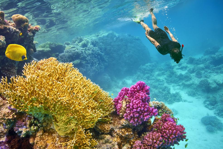 Complete Travel Guide on Umluj in Saudi Arabia | ExpatWoman.com