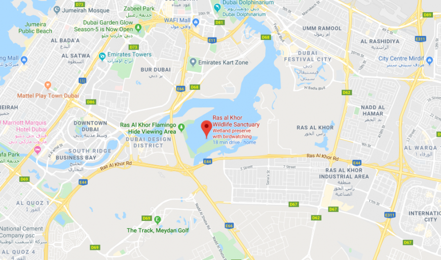 What to Know Before Visiting Ras Al Khor Wildlife Sanctuary ...